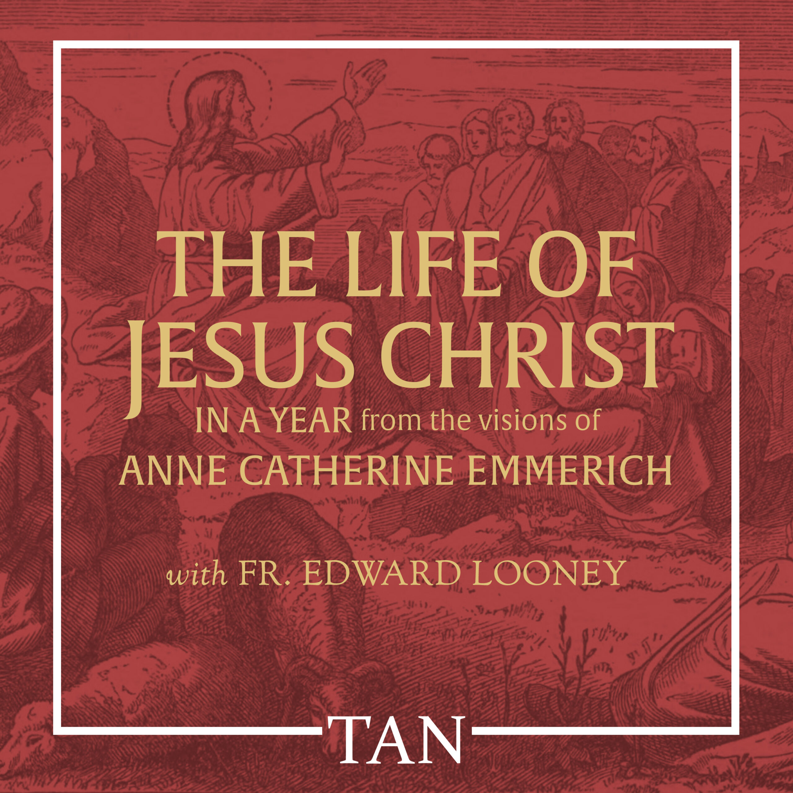 The Life Of Jesus Christ in a Year - TAN Direction - Catholic Spiritual ...